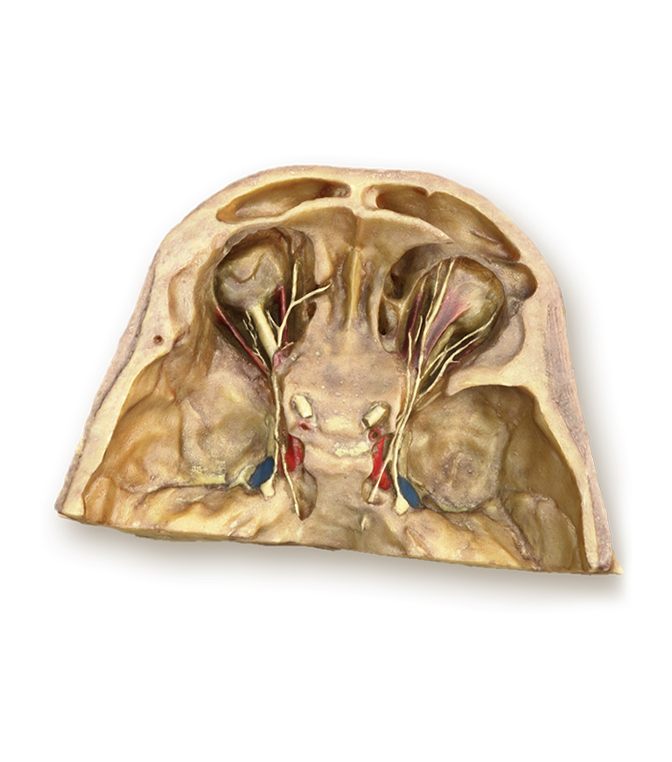 Mozaik Digital Education and Learning