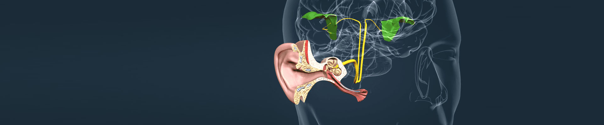 Educación digital y aprendizaje Mozaik