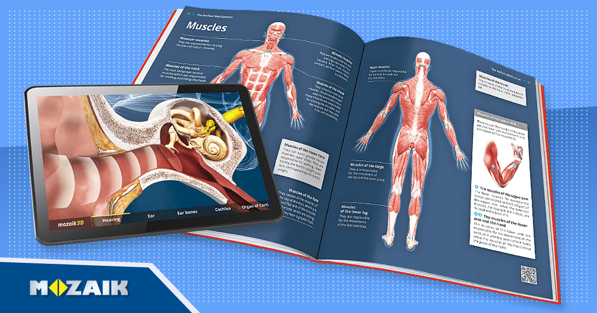 Mozaik Digital Education and Learning