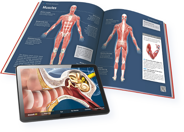 Mozaik Digital Education and Learning