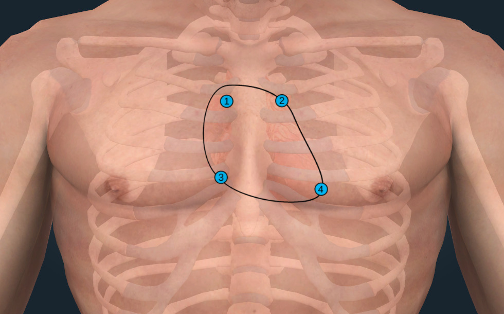 The anatomy of the heart - 3D сценa - Електронно обучение и учене Mozaik