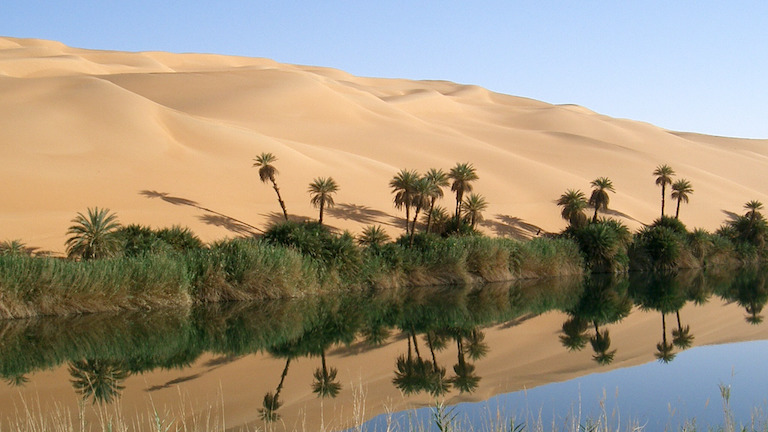 Оазис - видеоклип - Електронно обучение и учене Mozaik