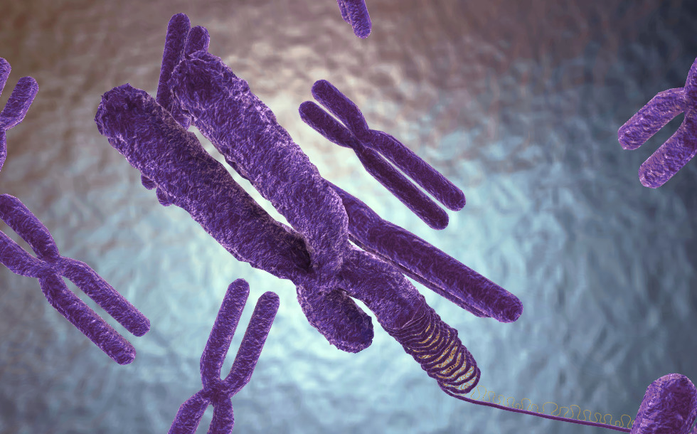 Uspořádání genetického materiálu - 3D animace - Mozaik digitální ...