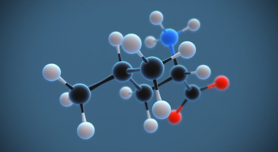 Leucin - 3D animace - Mozaik digitální vyučování a studium