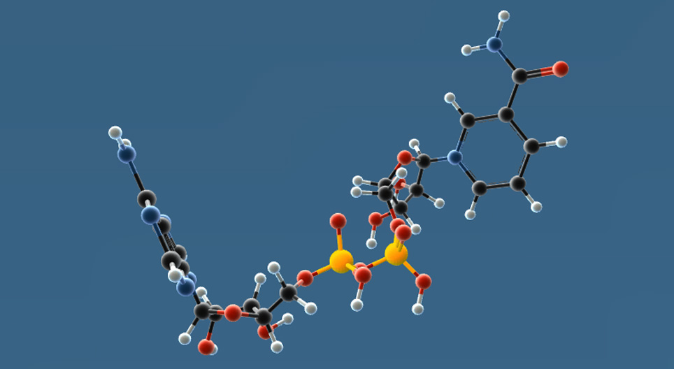 Nadph Molecule