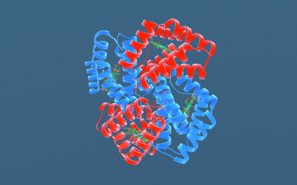 Hæmoglobin - 3D-scene - Mozaik digital undervisning og læring