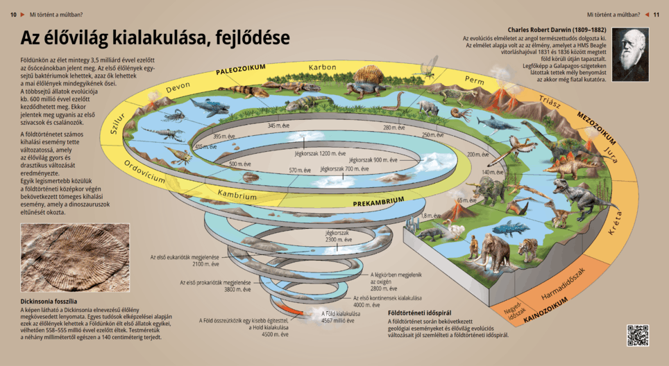 Die Entwicklung der Fauna und Flora - Lehrmaterial - Mozaik Digitale ...