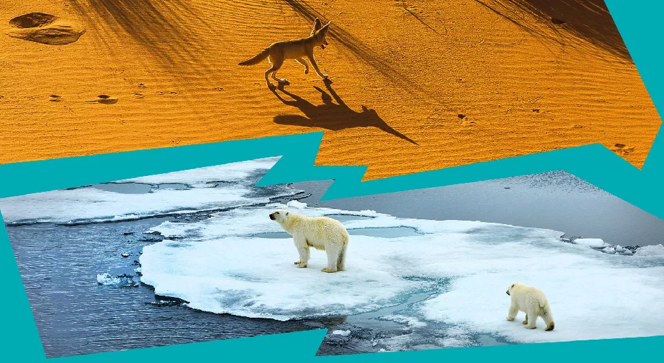 Warum gibt es auf der Erde Wüsten und Eisschilde? - Lehrmaterial ...