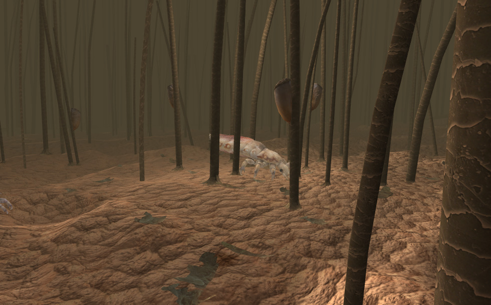Head lice - 3D-Modell - Mozaik Digitale Bildung und Lernen