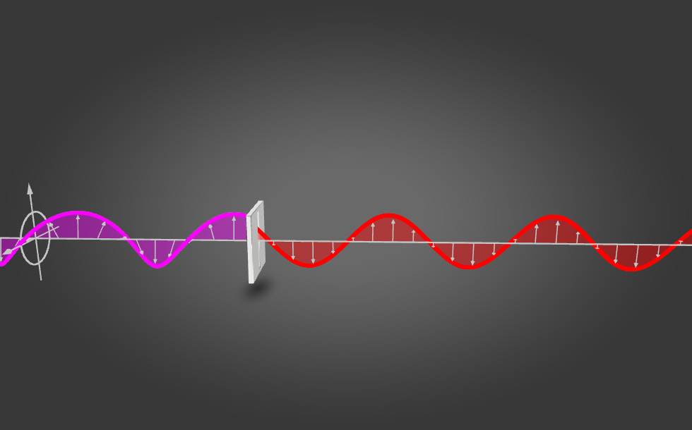 Die Wellentypen - 3D-Modell - Mozaik Digitale Bildung und Lernen