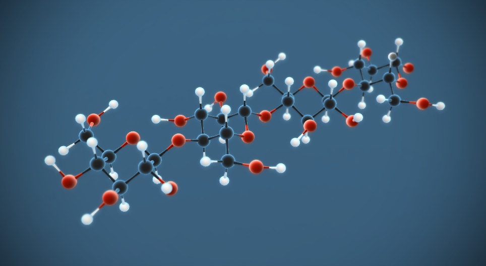 Die Zellulose (C₆H₁₀O₅)n - 3D-Modell - Mozaik Digitale Bildung und Lernen