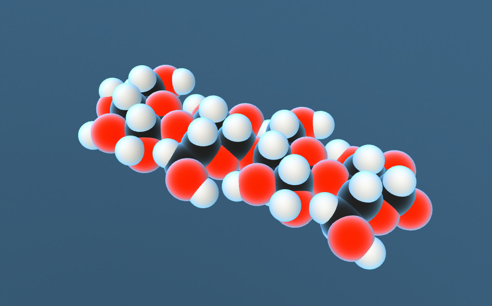 Die Zellulose (C₆H₁₀O₅)n - 3D-Modell - Mozaik Digitale Bildung und Lernen