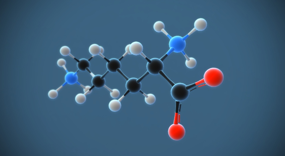 Das Lysin - 3D-Modell - Mozaik Digitale Bildung und Lernen