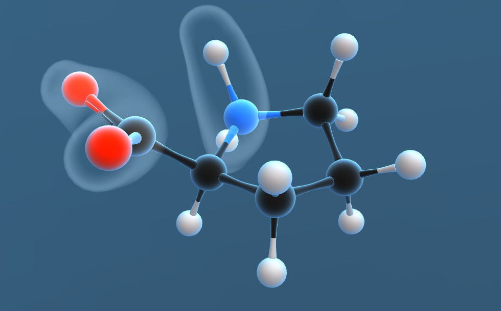 Das Prolin - 3D-Modell - Mozaik Digitale Bildung und Lernen