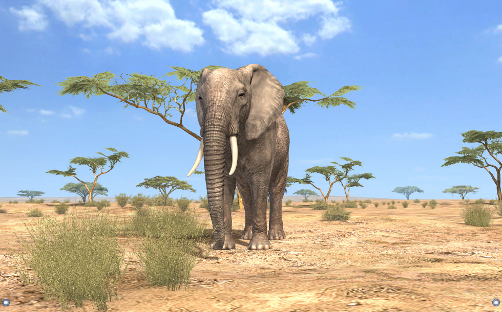 African elephant - 3D scene - Mozaik Digital Education and Learning