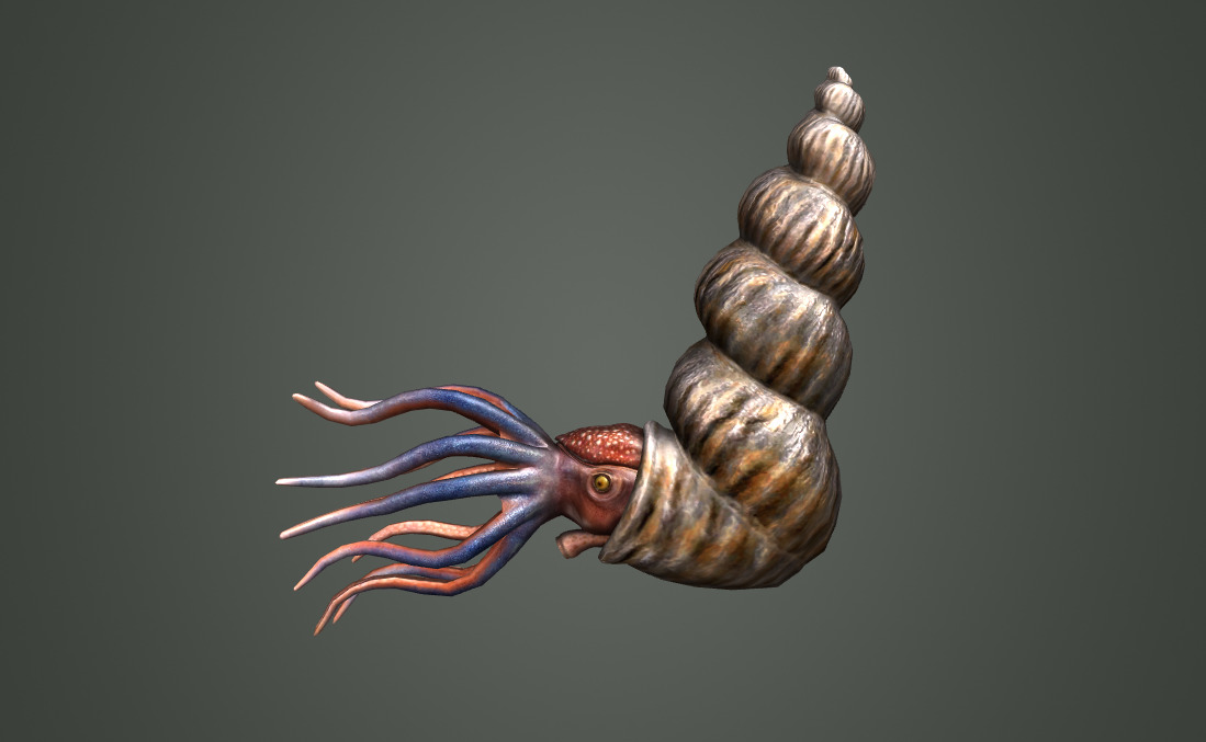 Ammonites - 3D scene - Mozaik Digital Education and Learning