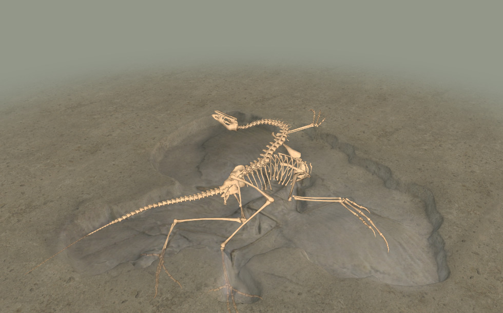 Archaeopteryx - 3D scene - Mozaik Digital Education and Learning