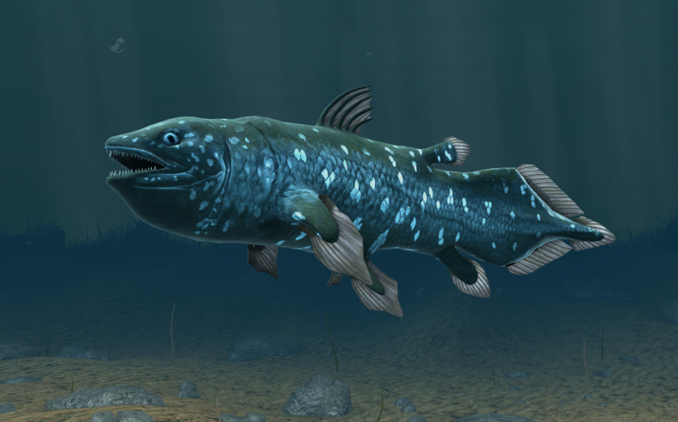 West Indian Ocean coelacanth - 3D scene - Mozaik Digital Education and ...