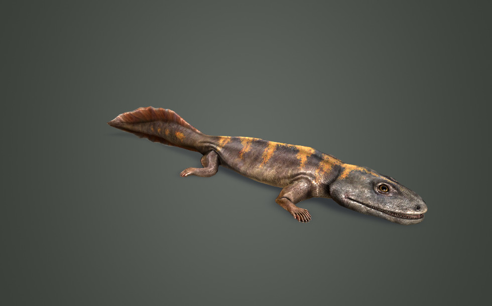 Carboniferous flora and fauna - 3D scene - Mozaik Digital Education and ...