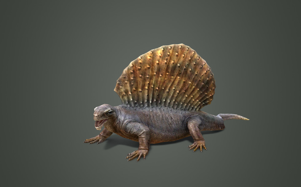 Carboniferous flora and fauna - 3D scene - Mozaik Digital Education and ...