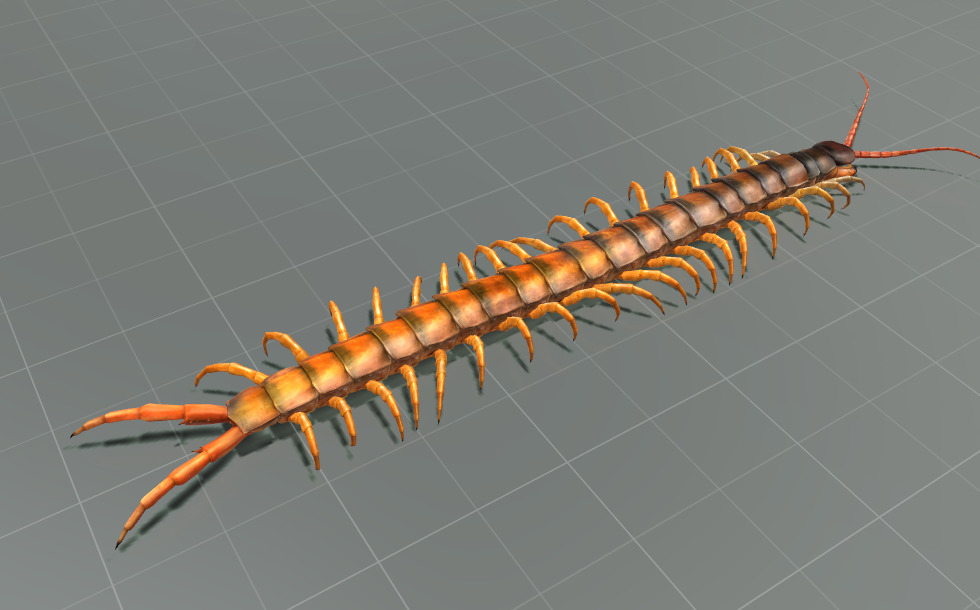 Megarian banded centipede - 3D scene - Mozaik Digital Education and ...
