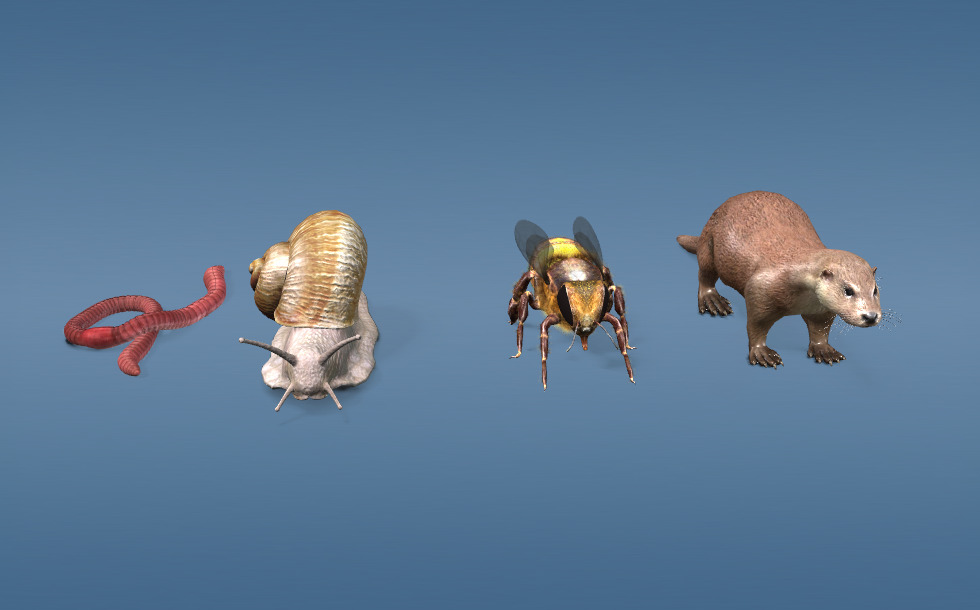 Diversity of light-detecting organs - 3D scene - Mozaik Digital ...