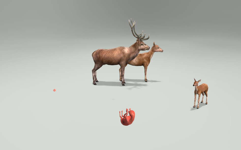 The life cycle of vertebrates - 3D scene - Mozaik Digital Education and ...