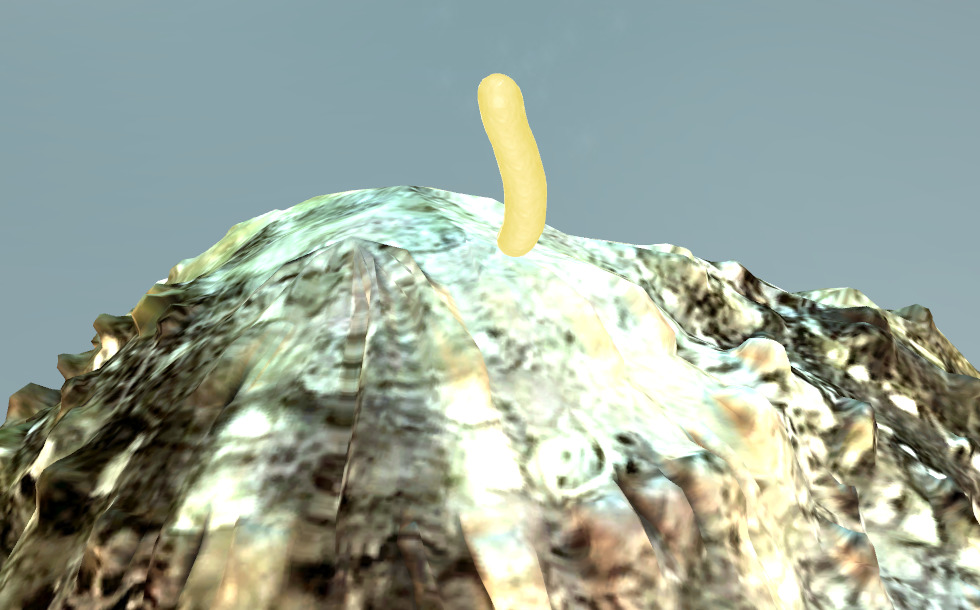 Pearls - 3D scene - Mozaik Digital Education and Learning
