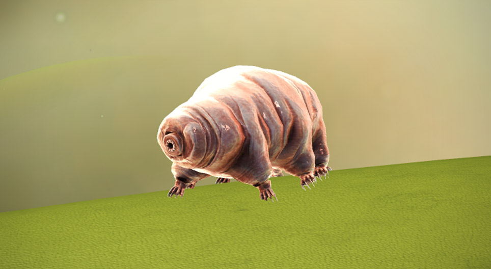 Tardigrade - 3D scene - Mozaik Digital Education and Learning