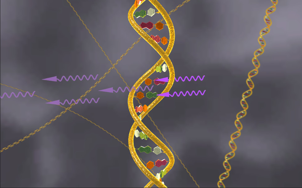 Tardigrade - 3D scene - Mozaik Digital Education and Learning
