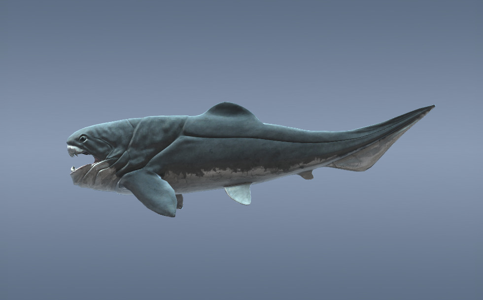 Prehistoric armoured fishes - 3D scene - Mozaik Digital Education and ...