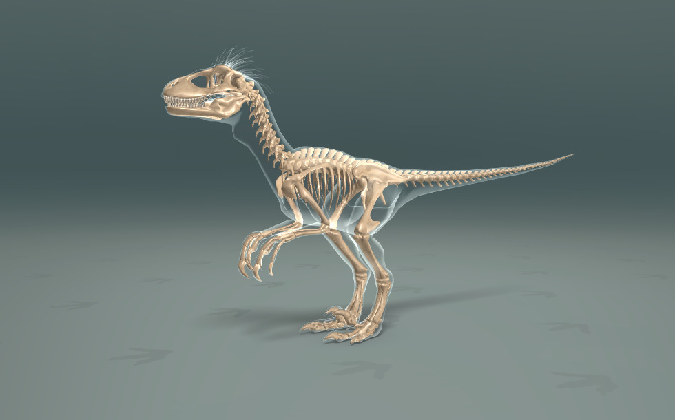 Deinonychus - 3D scene - Mozaik Digital Education and Learning