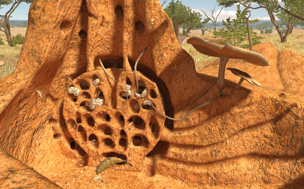 Termite mound - 3D scene - Mozaik Digital Education and Learning