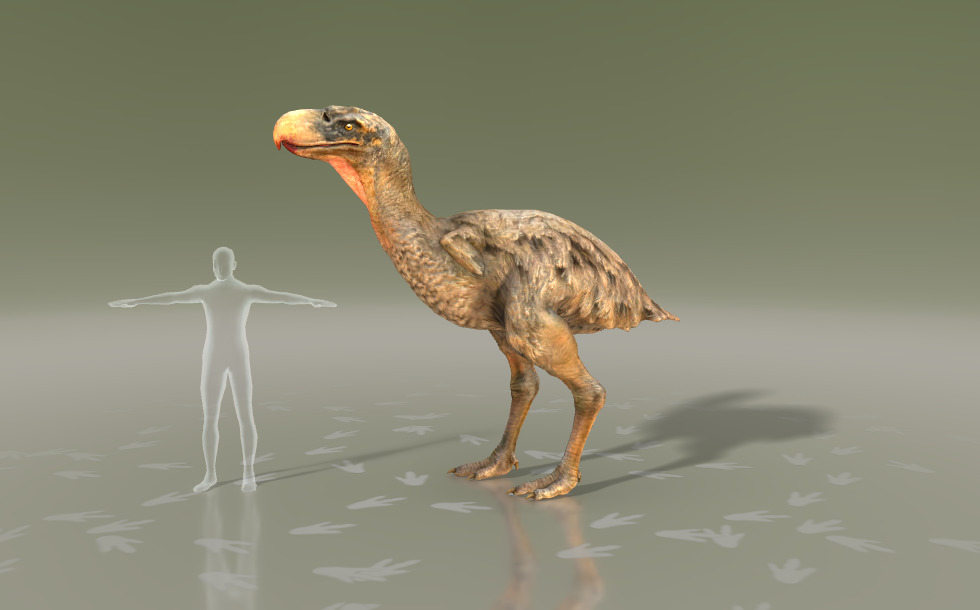 Terror birds - 3D scene - Mozaik Digital Education and Learning