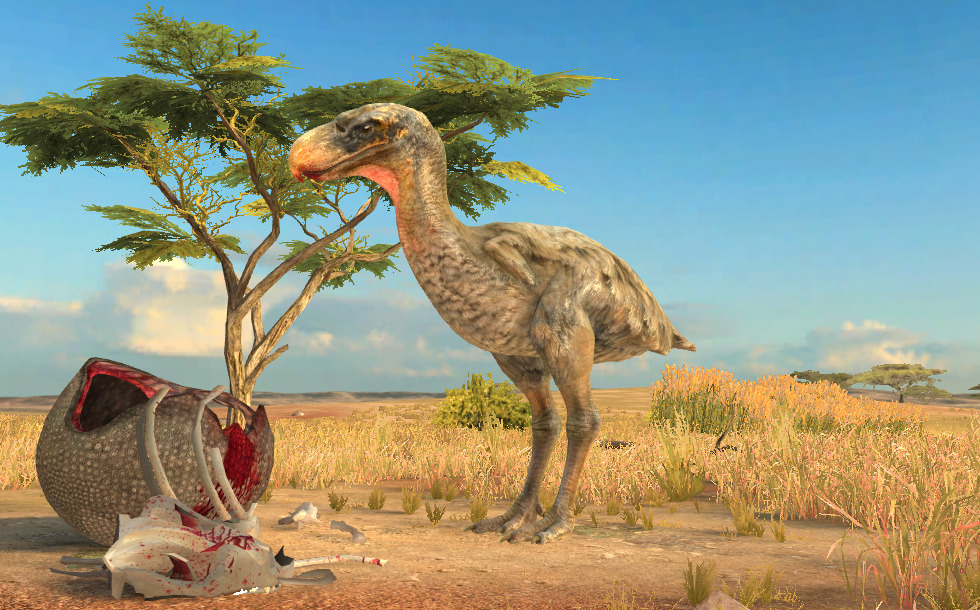 Terror birds - 3D scene - Mozaik Digital Education and Learning