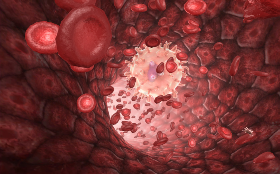 The human blood - 3D scene - Mozaik Digital Education and Learning