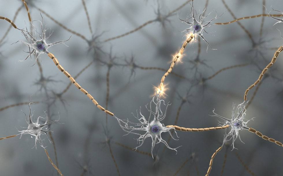 Synaptic transmission - 3D scene - Mozaik Digital Education and Learning