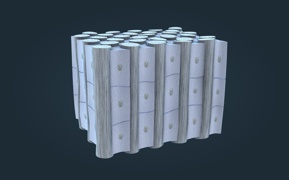 Connective tissues - 3D scene - Mozaik Digital Education and Learning