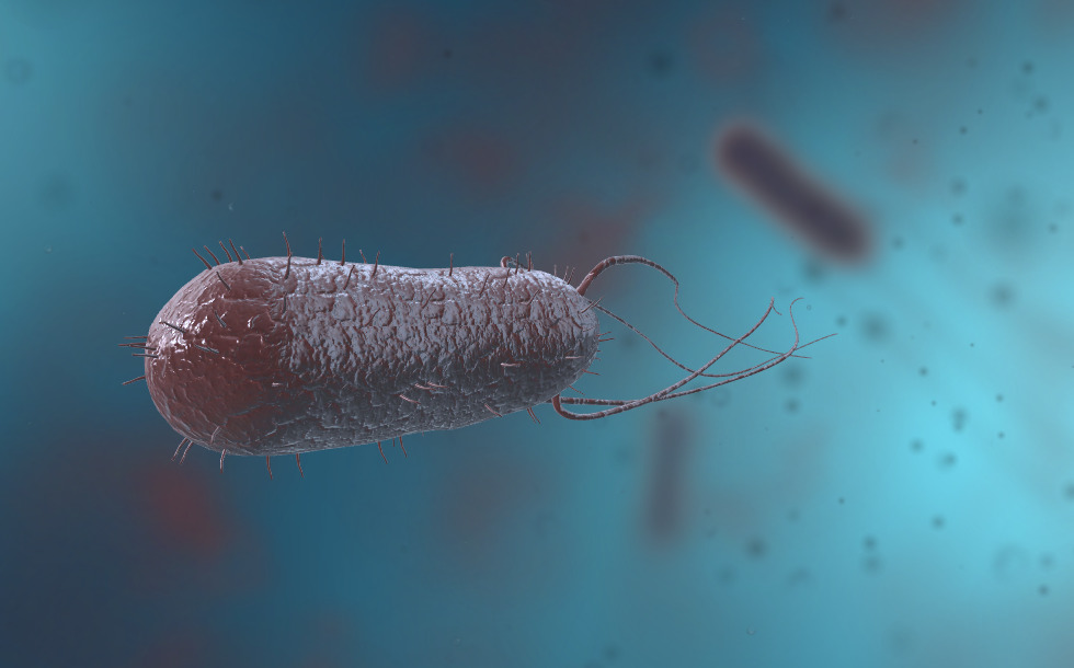 Bacteria (spheres, rods, spirals) - 3D scene - Mozaik Digital Education ...