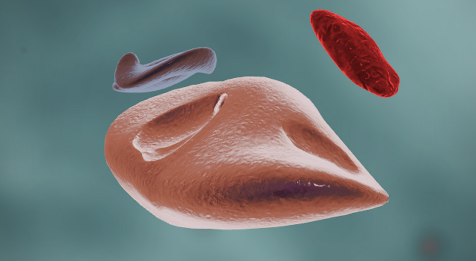 Haemoglobin - 3D scene - Mozaik Digital Education and Learning