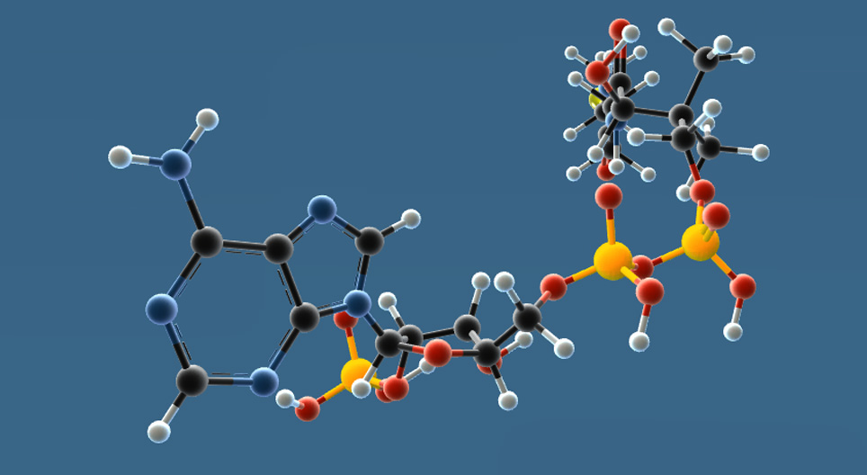Beta-D-ribose (C₅H₁₀O₅) - 3D scene - Mozaik Digital Education and Learning