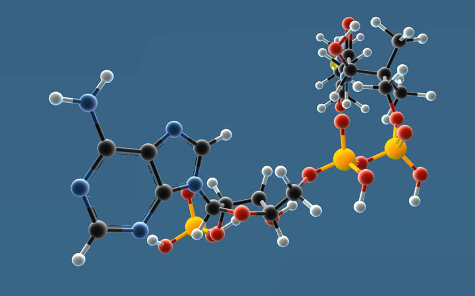Coenzyme A - 3D scene - Mozaik Digital Education and Learning