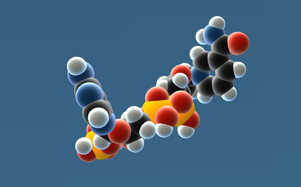 NAD⁺, NADP⁺, NADPH - 3D scene - Mozaik Digital Education and Learning