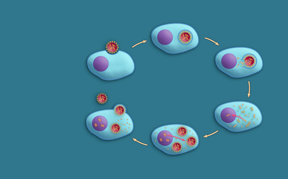 Viruses - 3D scene - Mozaik Digital Education and Learning
