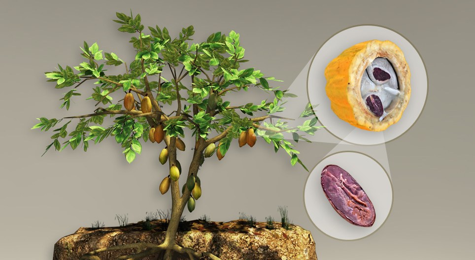 Deforestation - 3D scene - Mozaik Digital Education and Learning