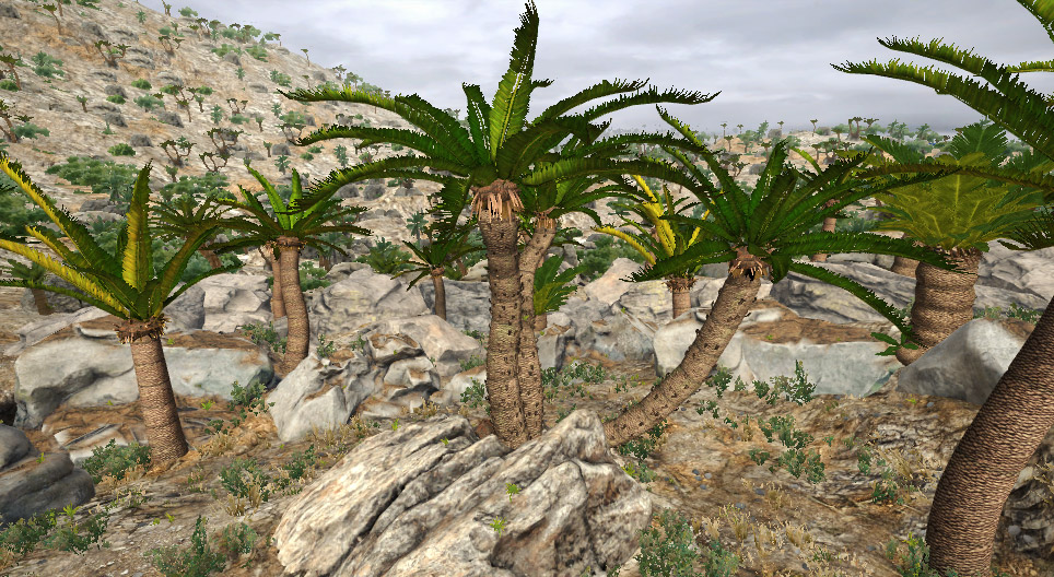 Japanese sago palm - 3D scene - Mozaik Digital Education and Learning