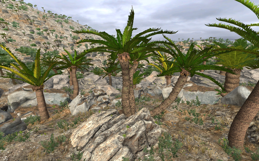 Japanese sago palm - 3D scene - Mozaik Digital Education and Learning