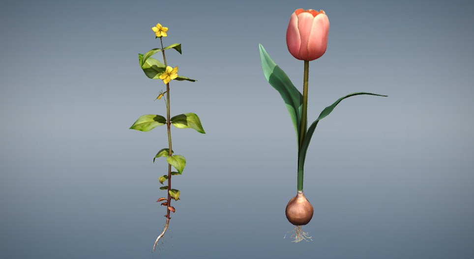 Niche - 3D scene - Mozaik Digital Education and Learning