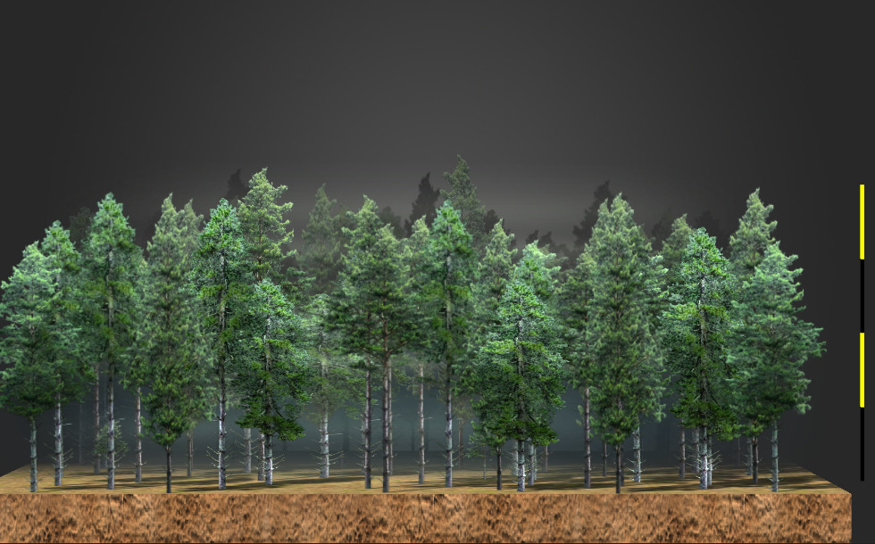 Layers of forests - 3D scene - Mozaik Digital Education and Learning