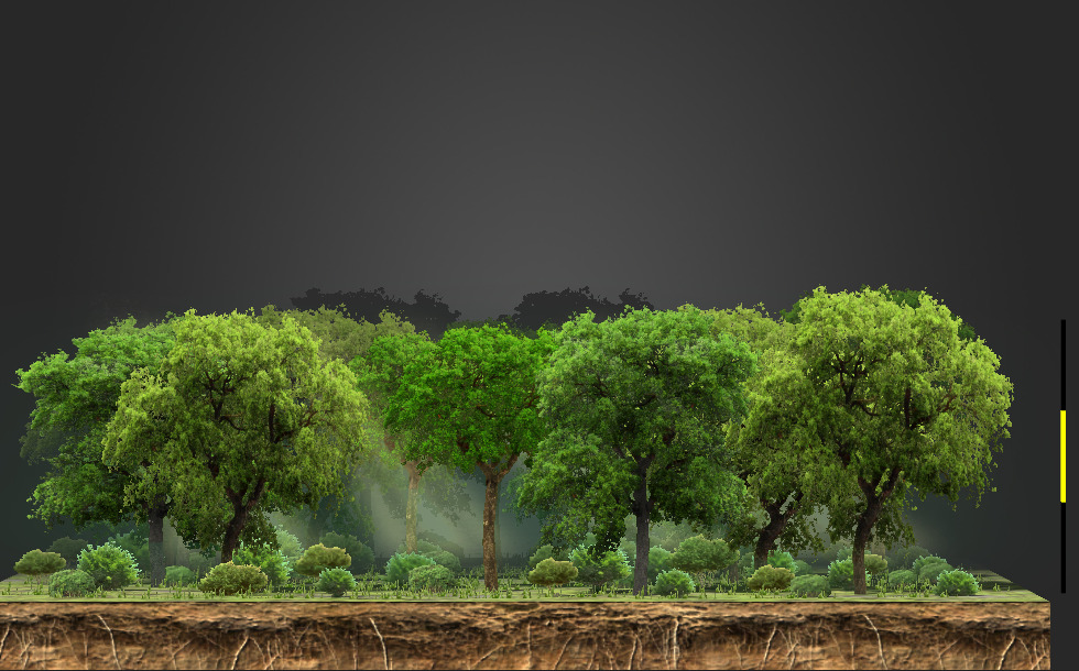 Layers of forests - 3D scene - Mozaik Digital Education and Learning